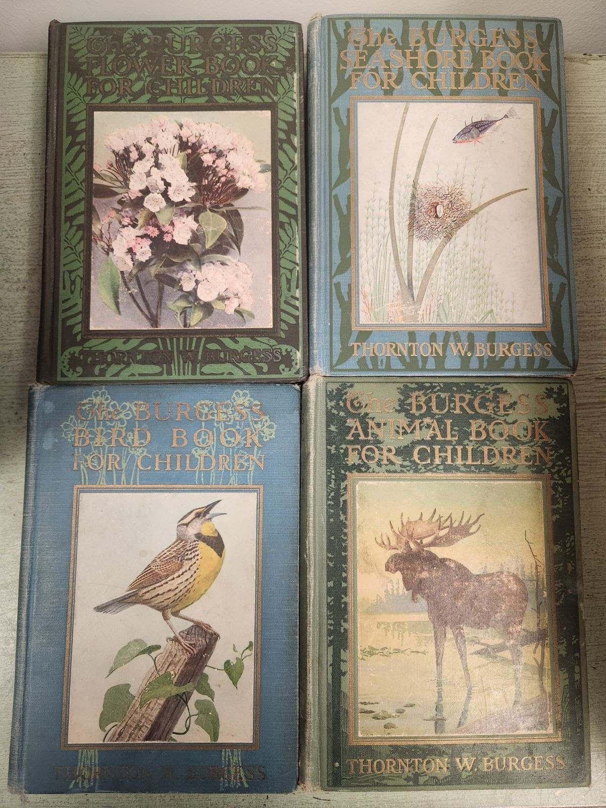 The Annual Sale | Bryn Mawr-Wellesley Book Sale